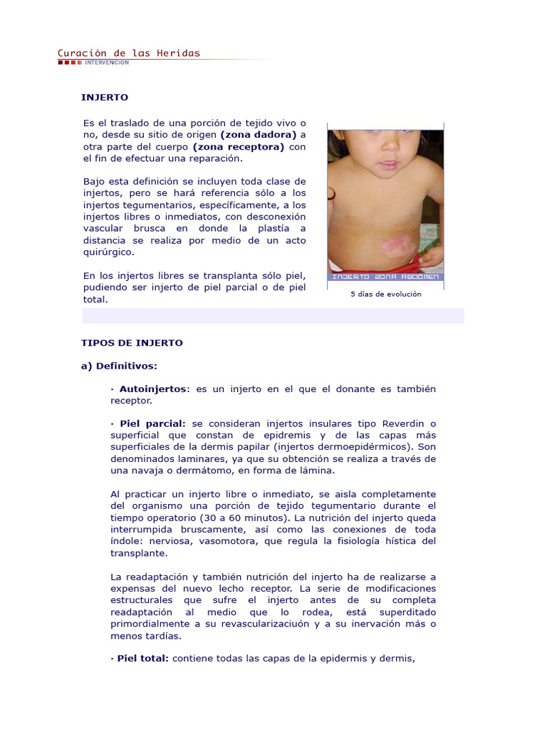 Injerto | PDF | Piel | Especialidades Medicas