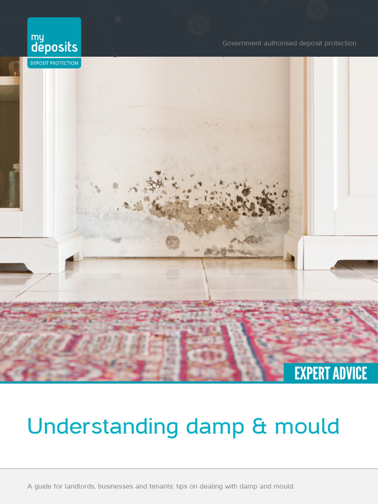 Understanding Damp Mould 1 | PDF | Building Insulation | Condensation
