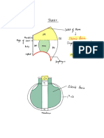 Complete Anatomy Handwritten Notes | PDF
