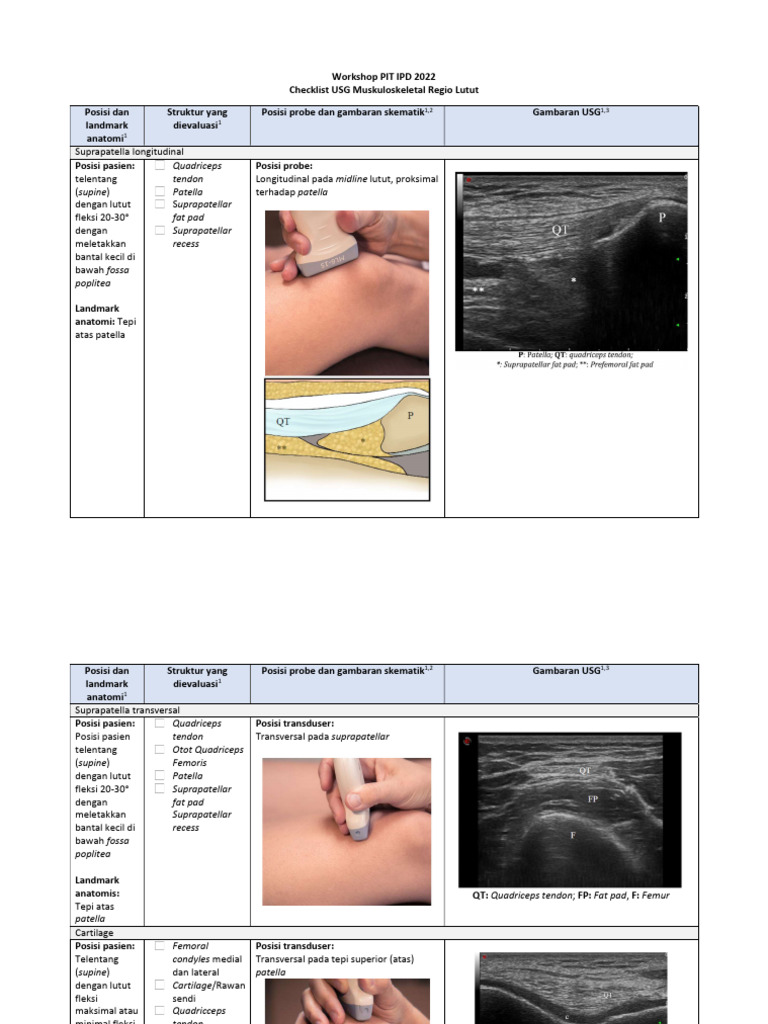 Checklist Workshop PIT USG MSK Lutut 2022 | PDF
