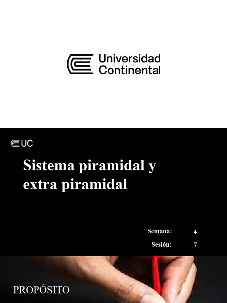 CLASE PRÁCTICA - SEM 4 - Vías Piramidales y Extrapiramidales | PDF