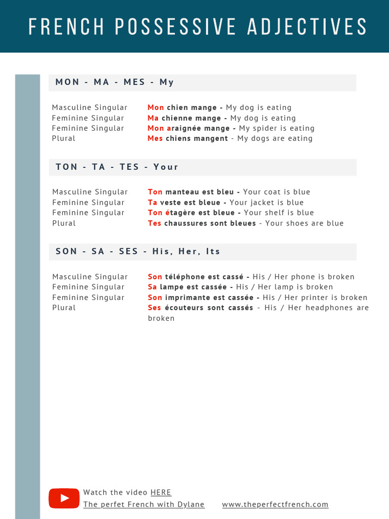 French Possessive Adjectives Explained | PDF
