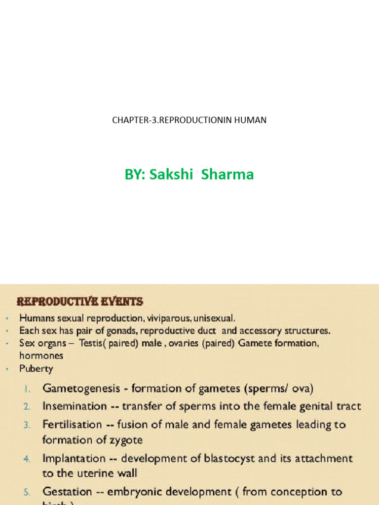 Human Reproduction Class 12th | PDF