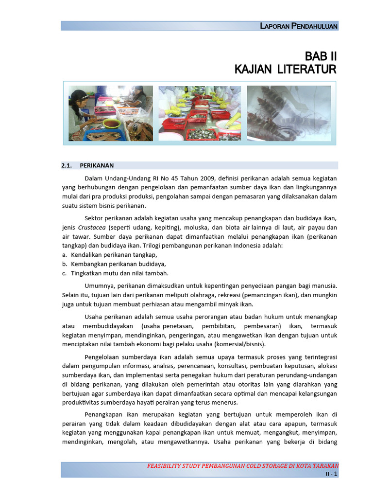 Bab 2 Kajian Literatur | PDF | Kesehatan Holistik