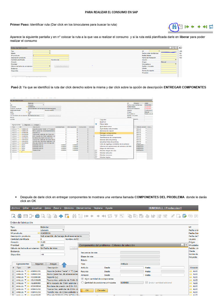 Guia Sap | PDF | Microsoft Excel | Software