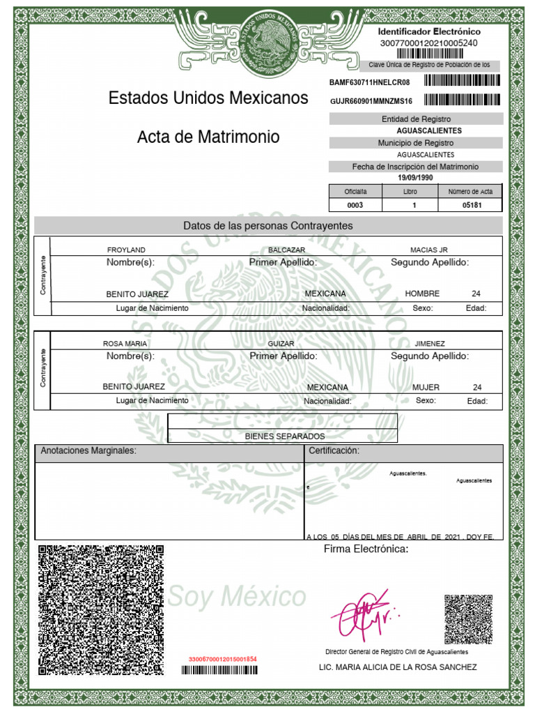 Acta Matrimonio | PDF | Gobierno y personalidad | Vigilancia