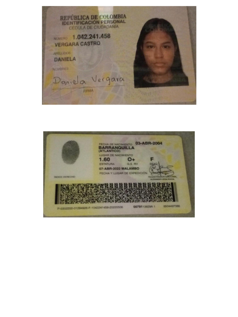 CC Daniela Vergara Castro | PDF