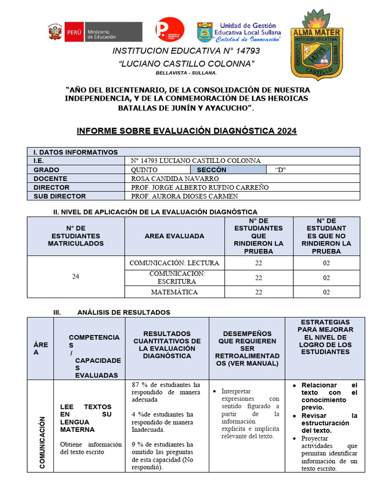 ROSA - INFORME SOBRE EVALUACION DIAGNOSTICA 2024 | PDF | Evaluación