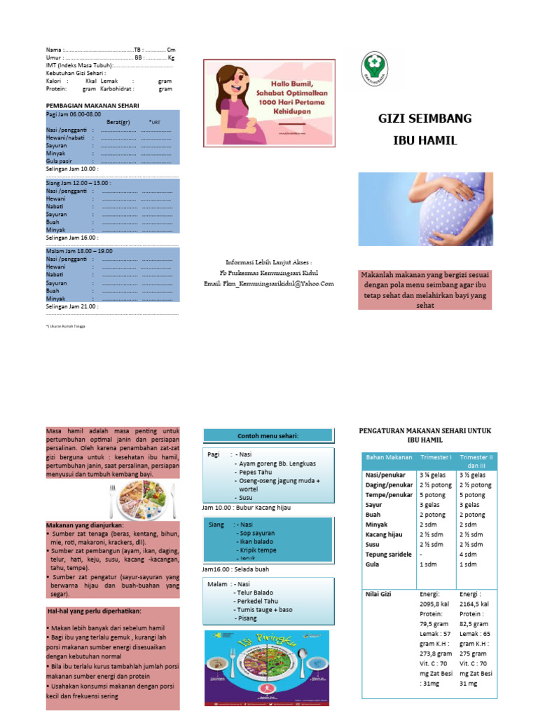 Leaflet Gizi Seimbang U Bumil | PDF