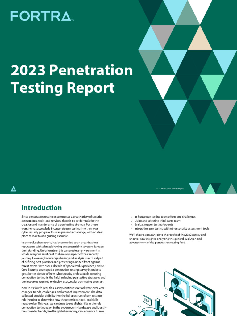 2023 Penetration Testing Report | PDF | Security | Computer Security