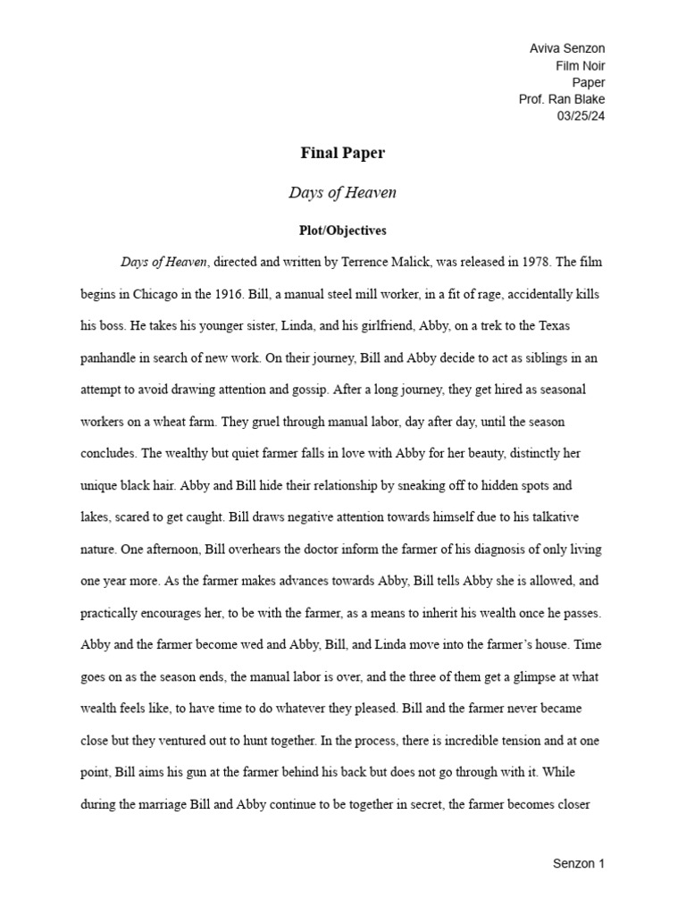 Senzon FN Final Paper 2024 | PDF