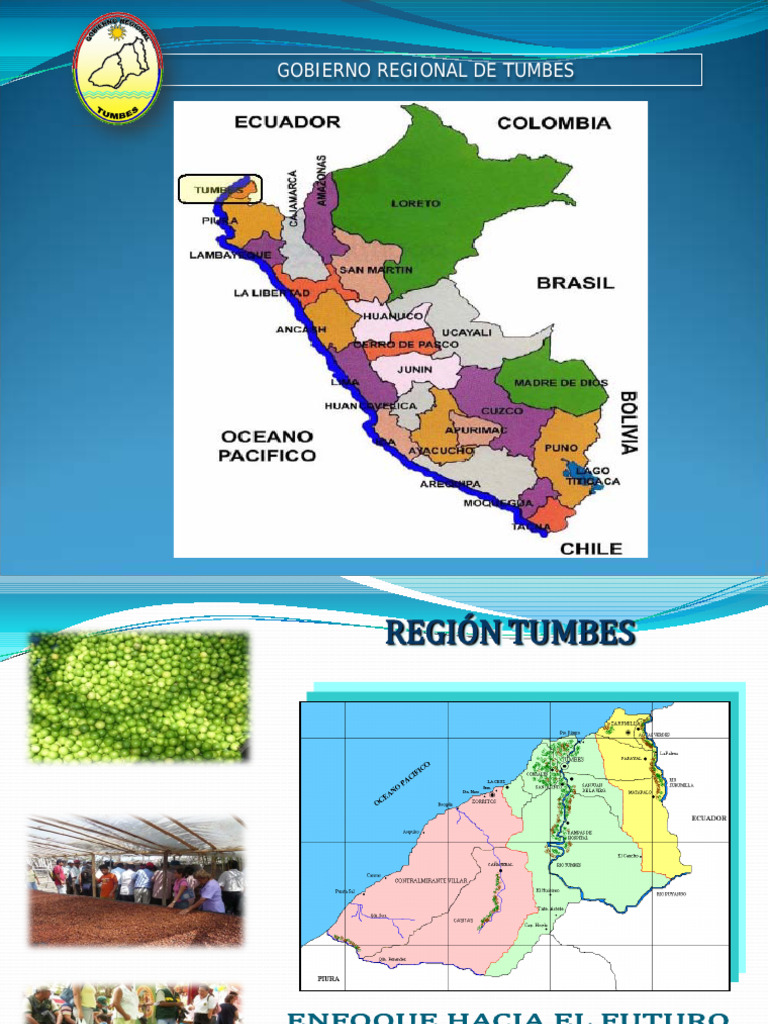 Proyecto_ “Irrigacion de La Margen Derecha Del Rio Tumbes” | PDF ...