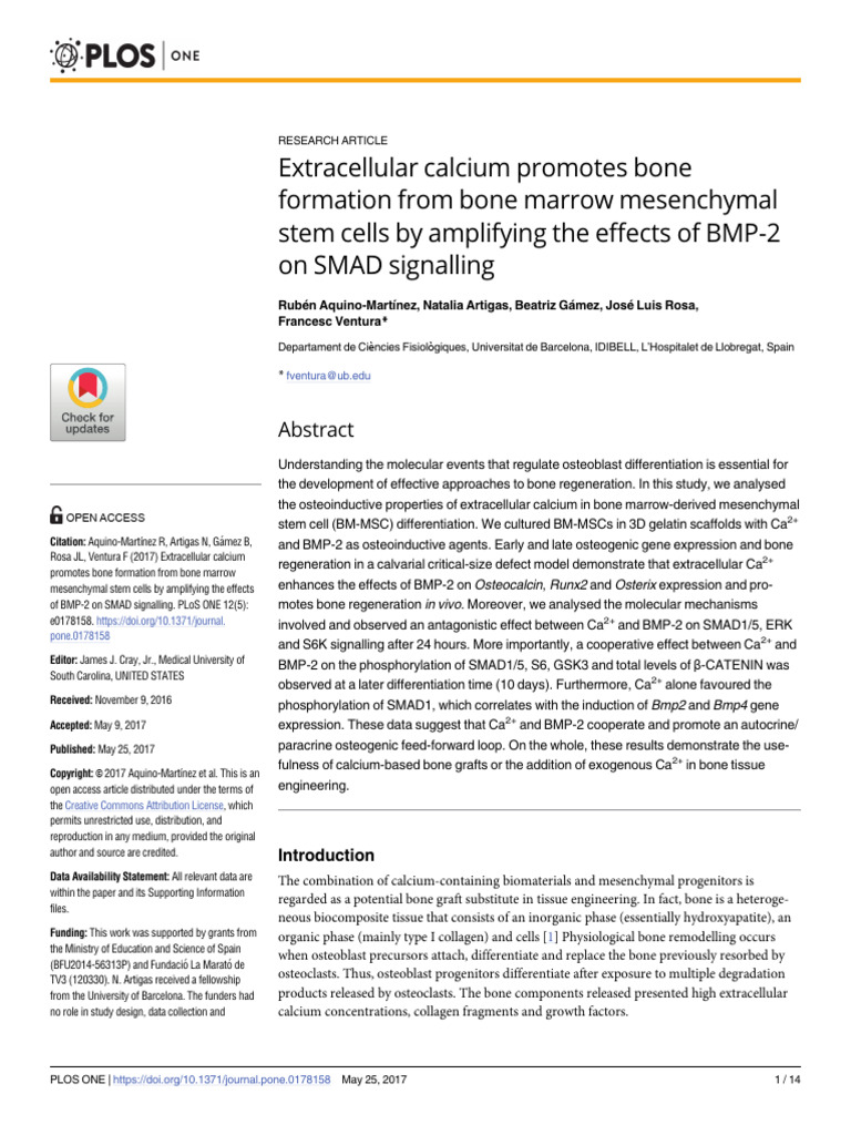 Calcium Induced Bone Regeneration | PDF | Bone | Osteoblast