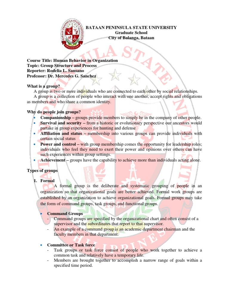 Group Structure and Process | PDF | Goal | Value (Ethics)