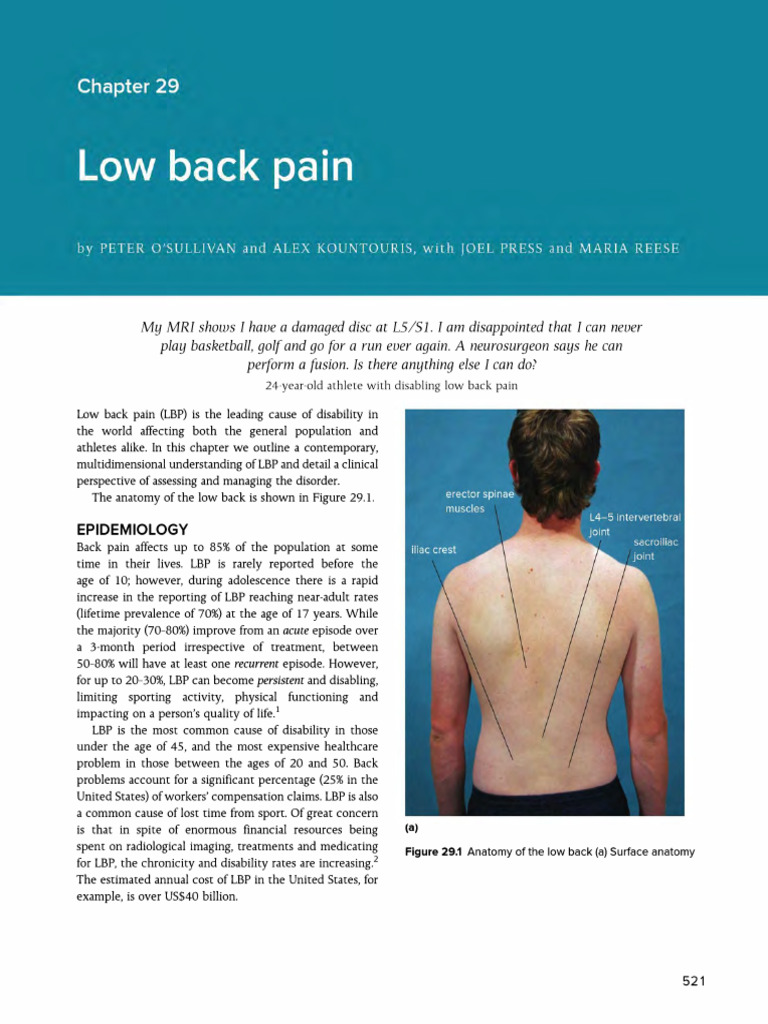 Brukner Low Back Pain | PDF
