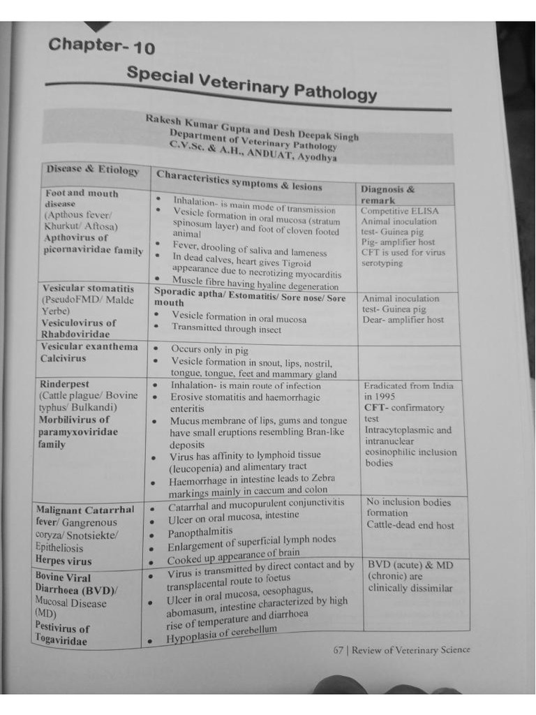 Special Pathology Disease | PDF