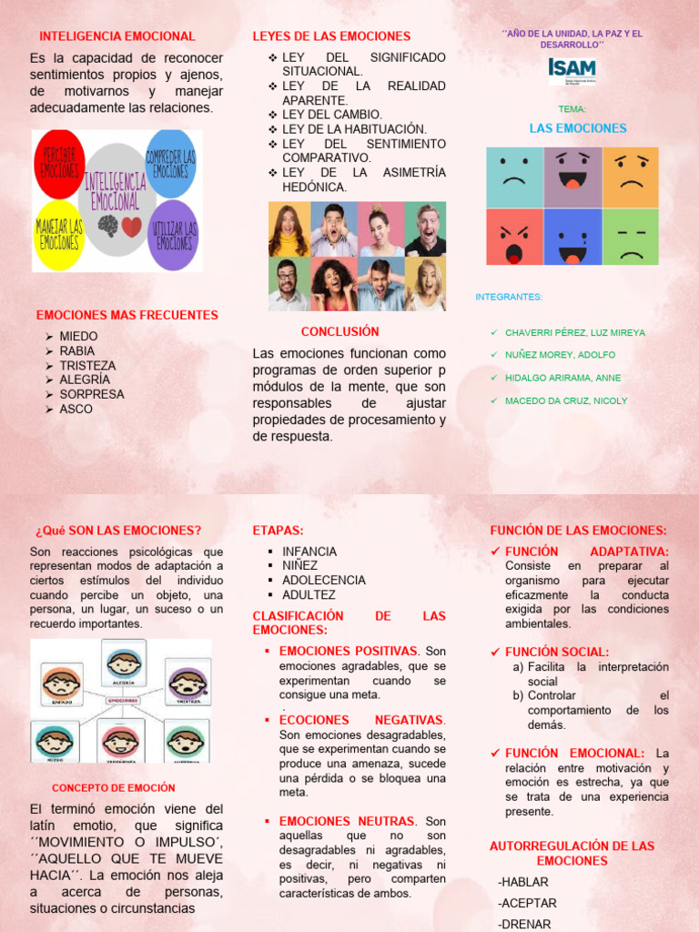 Comprendiendo las Emociones y su Función | PDF | Las emociones ...