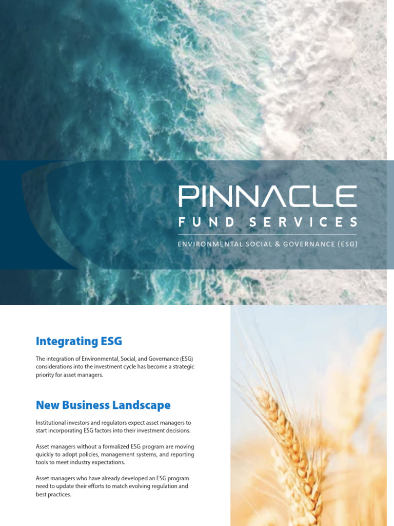 Pinnacle ESG Brochure Final | PDF | Economies | Business