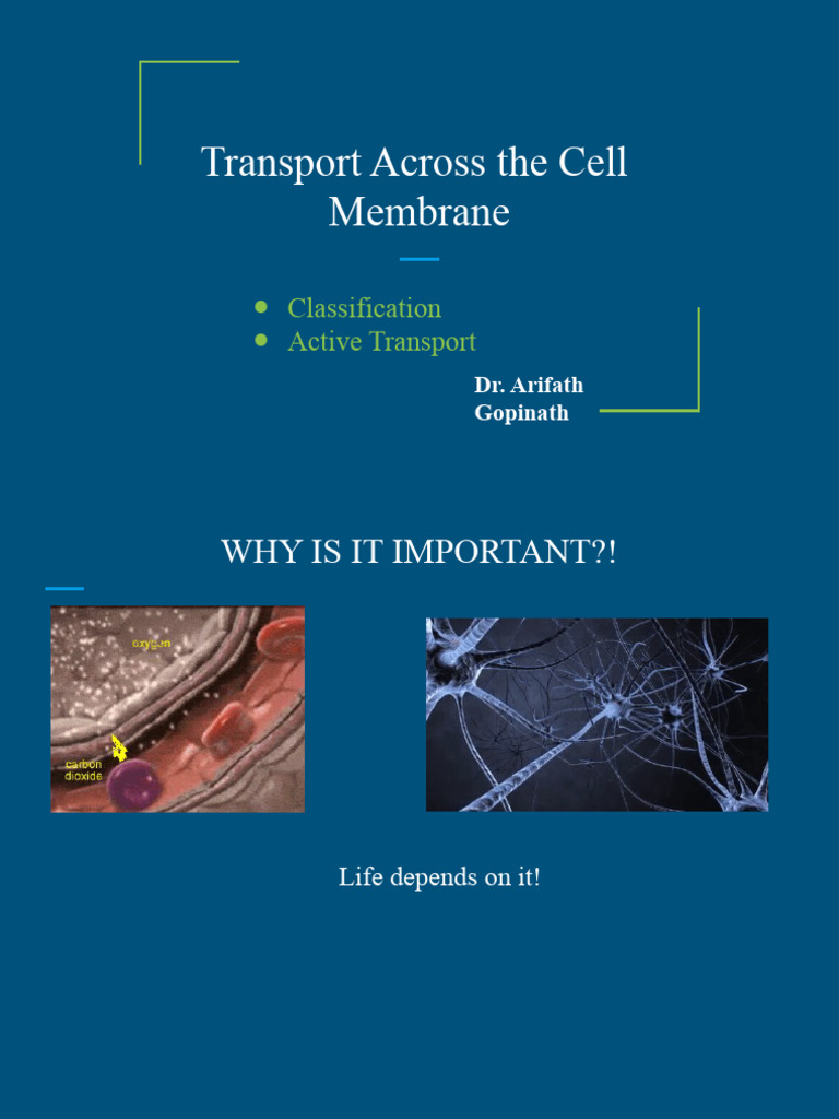 Cell Membrane Transport | PDF | Science & Mathematics