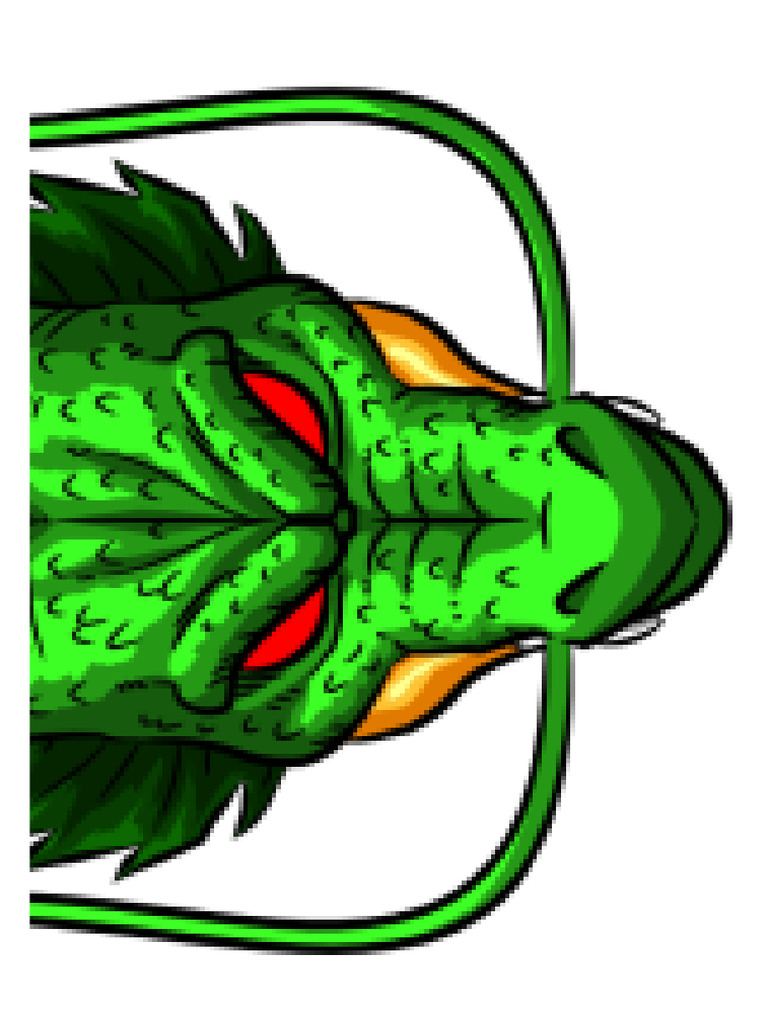 Dragon Ilus 300 | PDF