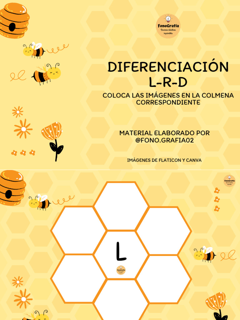 Diferenciación LRD | PDF
