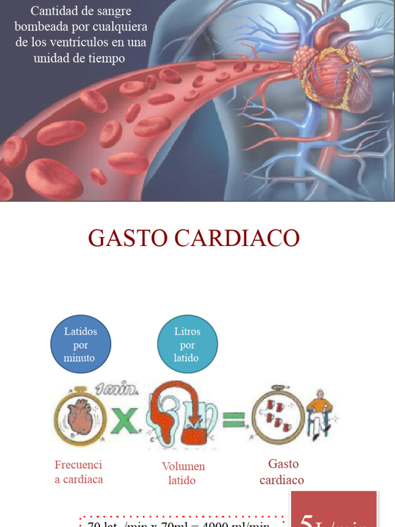 Gasto Cardiaco | PDF | Corazón | Ventrículo (corazón)