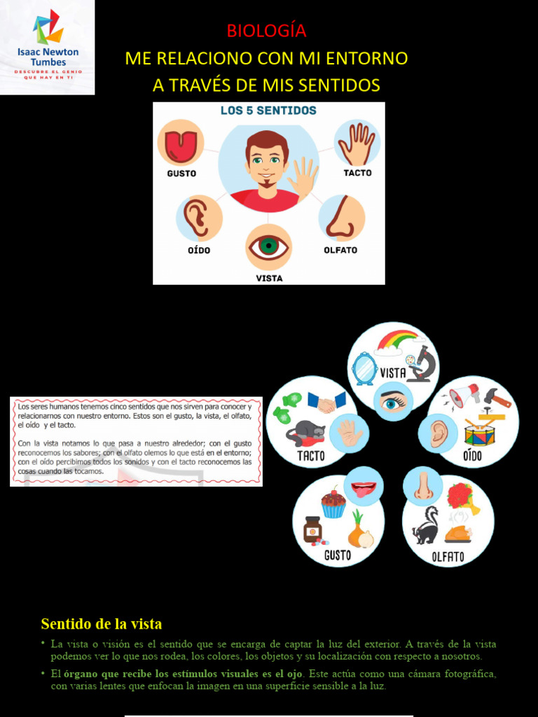 Funciones de los cinco sentidos humanos | PDF | Escuchando | Sentidos
