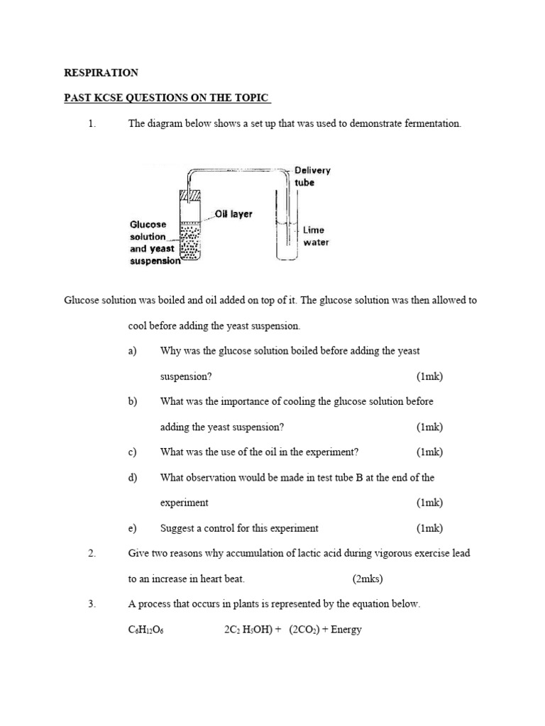 Form 2 4. Respiration Q | PDF | Cellular Respiration | Glucose