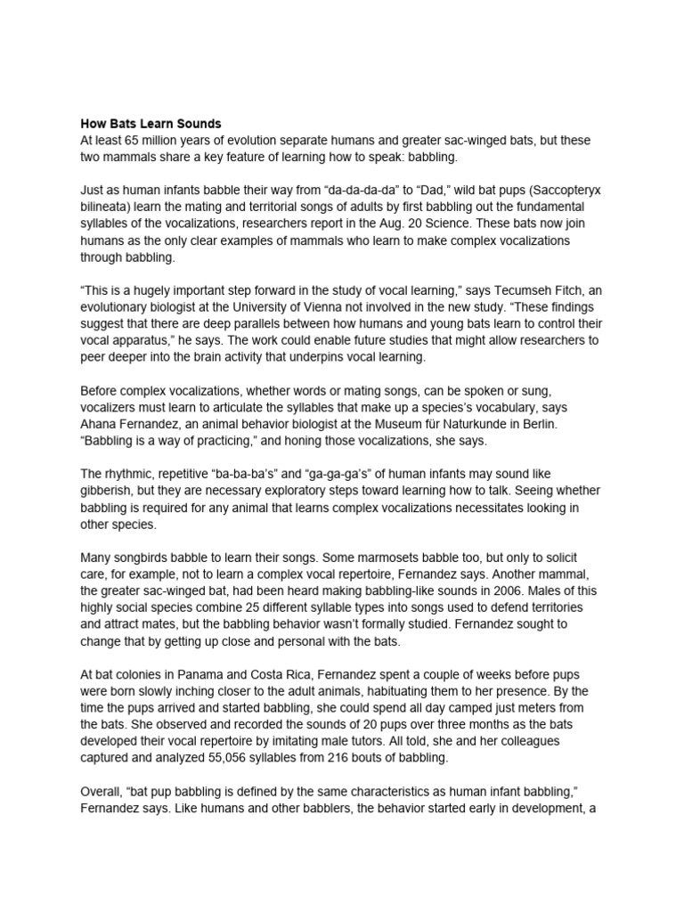 How Bats Learn Sounds | PDF | Zoology | Cognitive Science