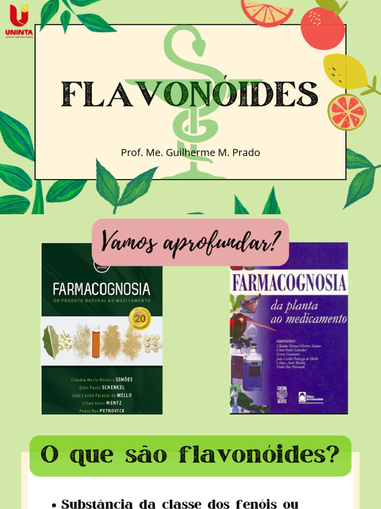 Flav On Ides | PDF | Flavonoide | Química