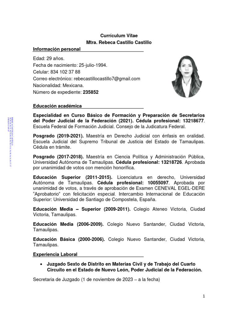 Curriculum Rebeca Castillo Castillo Enero 2024 | PDF | Judicaturas | México