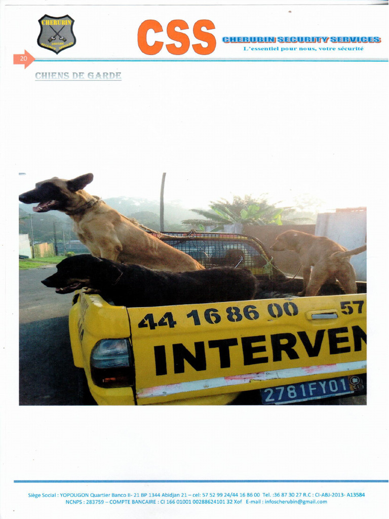 Scan Photo Dossier Technique | PDF