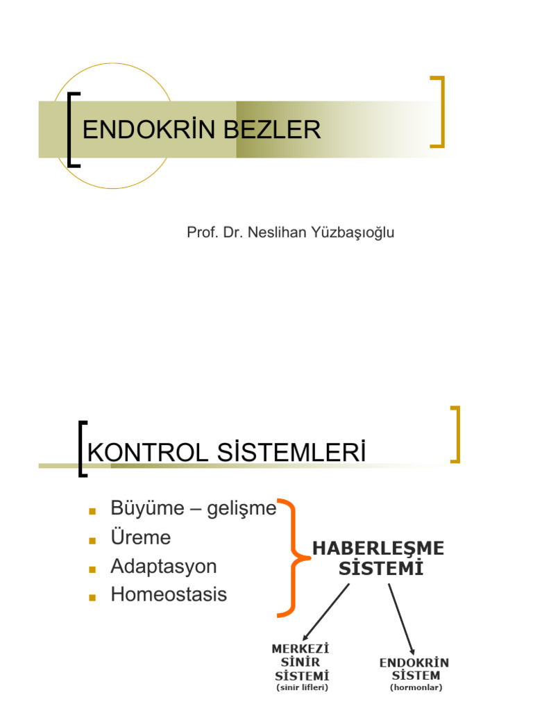 5 ENDOKRİN BEZLER..pdf - Düzenlendi PDF | PDF