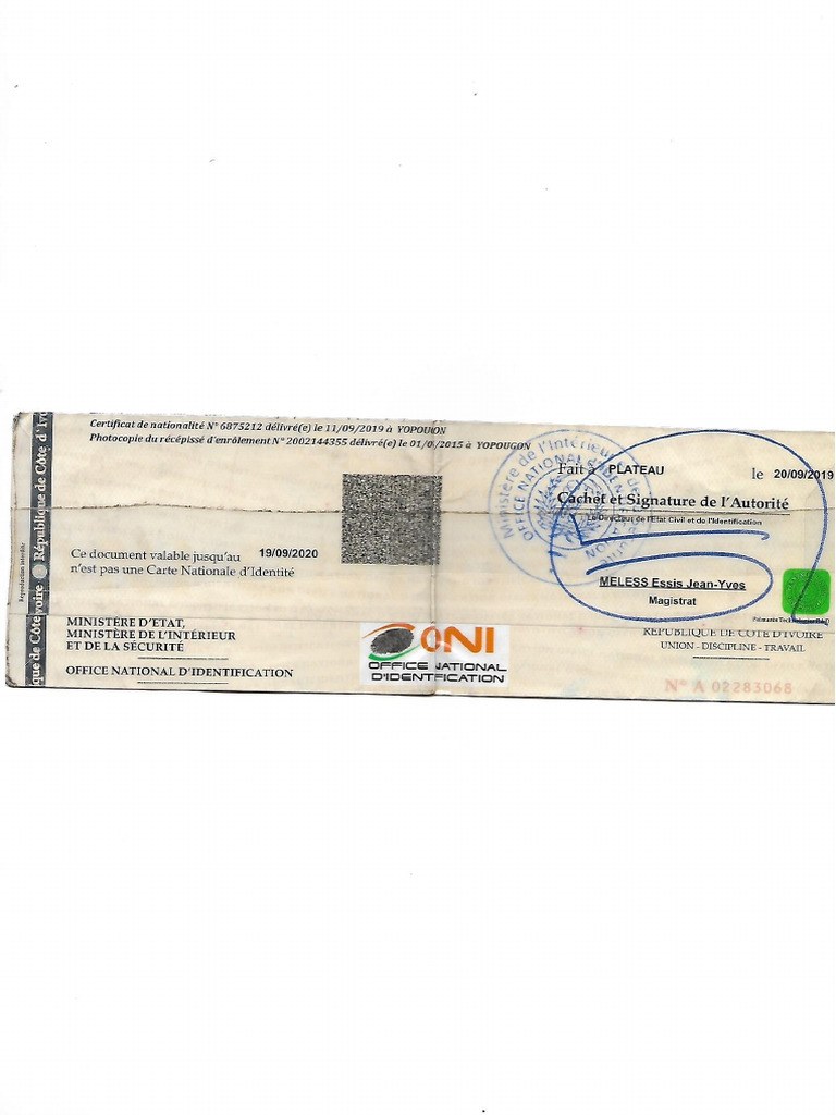 Piece DG CSS 2 | PDF