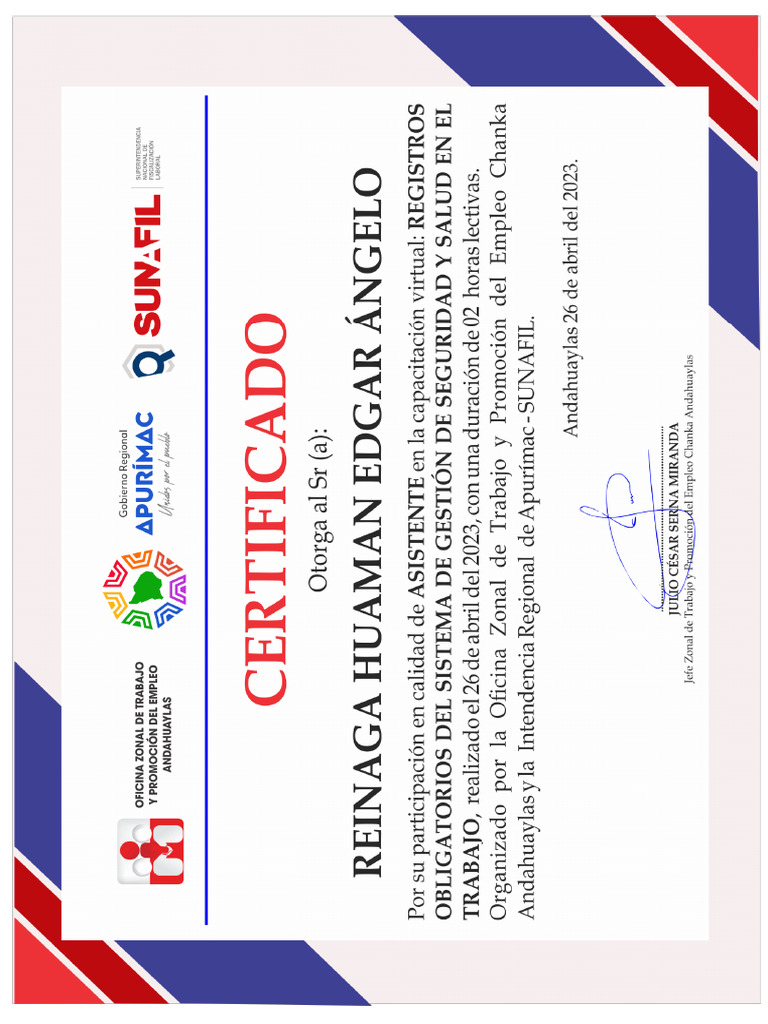 CV - Certificado Ing Seguridad | PDF