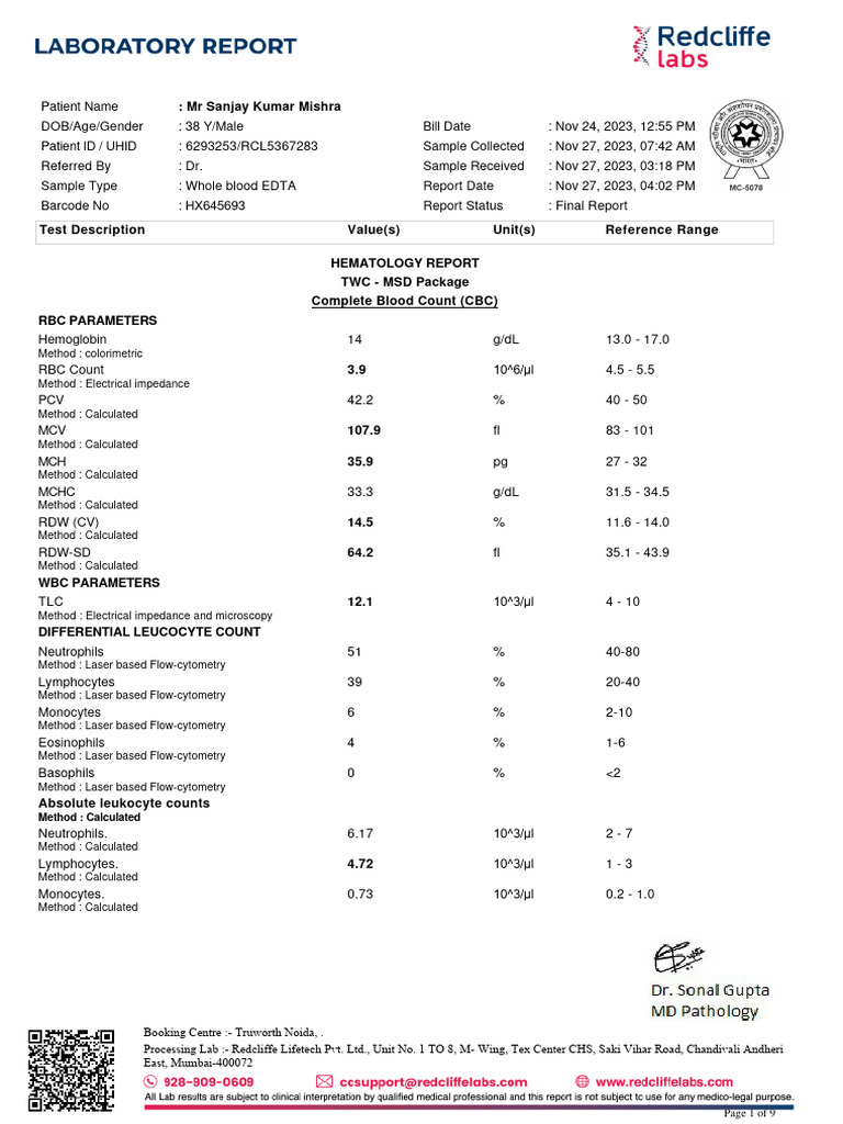 Onsite Health Check Package - Report | PDF | Atherosclerosis ...