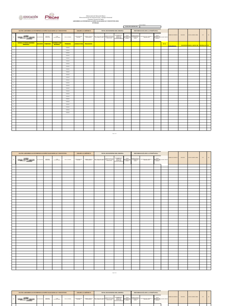 Anexo 7 Proni Primaria | PDF