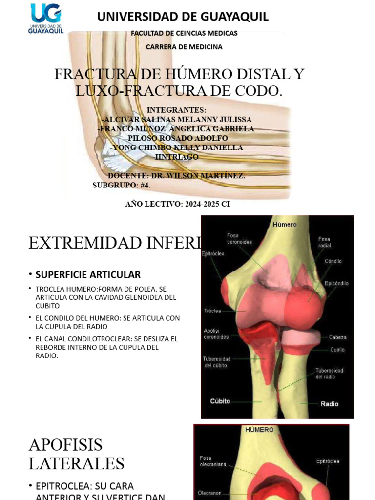 FRACTURA DISTAL DEL HUMERO (1) | PDF | Codo | Extremidades (anatomía)