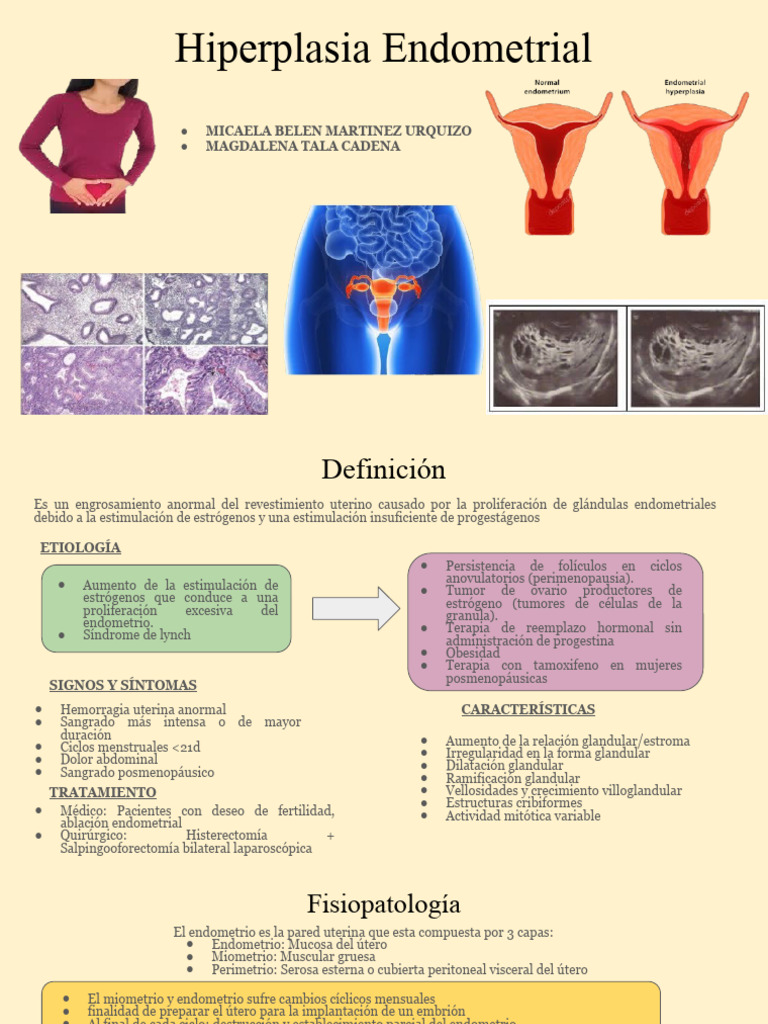 Hiperplasia Endometrial: Causas y Tratamiento | PDF | Causas de la ...