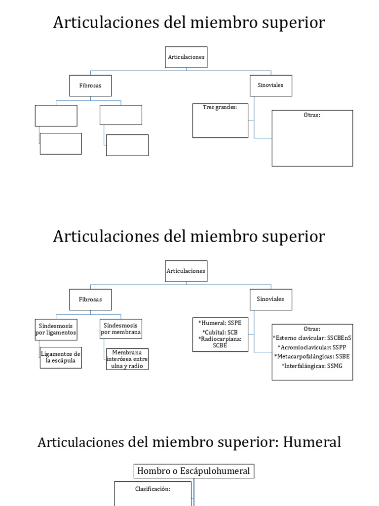 Cuadros de Articulaciones Miembro S e I Hilda 021 | PDF | Articulación | Rodilla