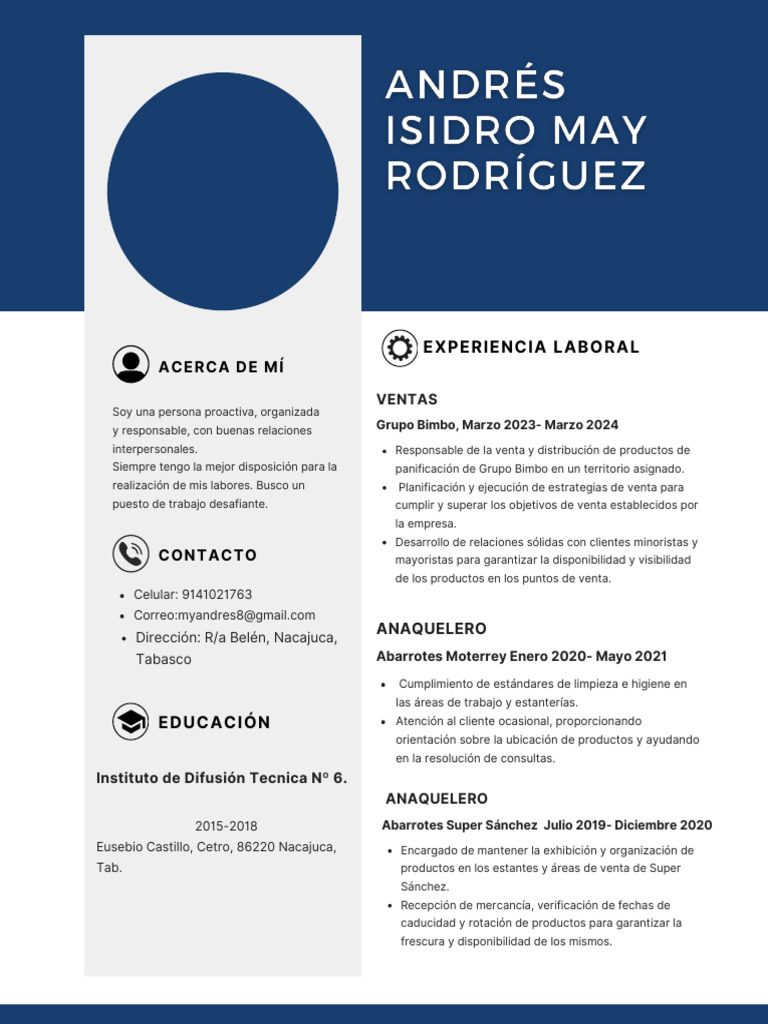 Curriculum Andres | PDF | Business