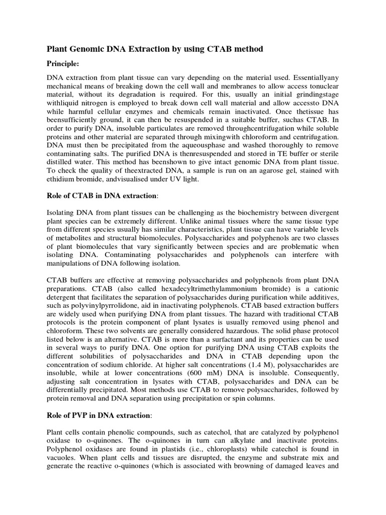 Plant Genomic DNA Extraction by Using CTAB Method | PDF | Agarose Gel Electrophoresis | Polyphenol
