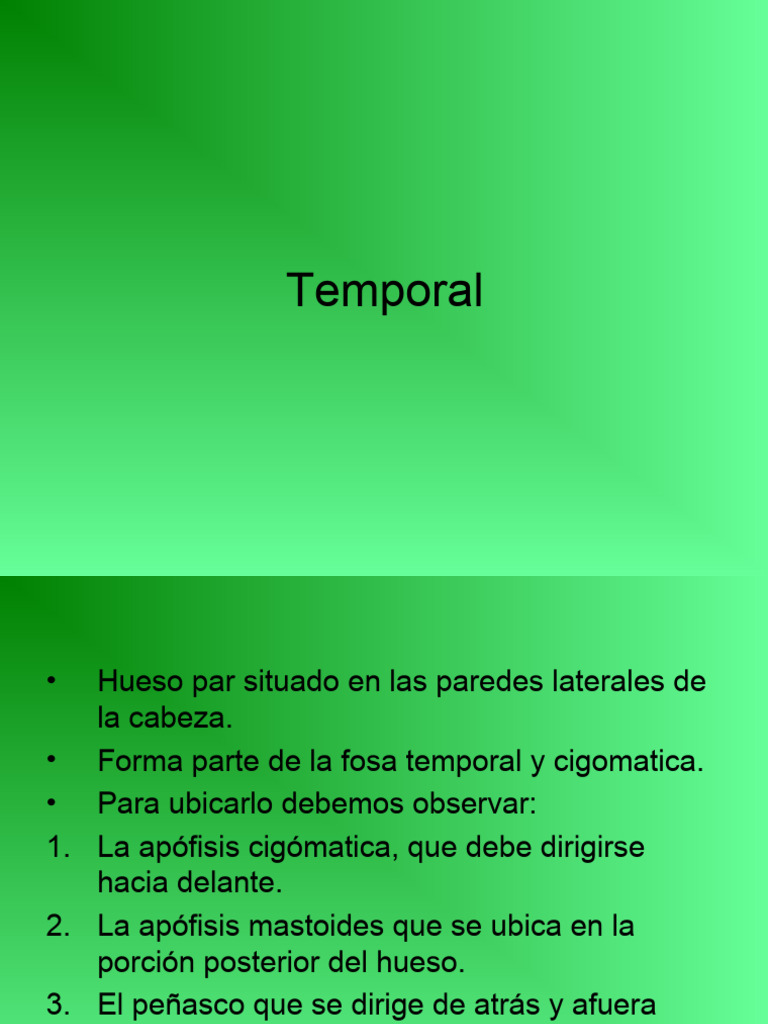 Temporal, Wormianos y Craneo en General. | PDF | Anatomía humana ...
