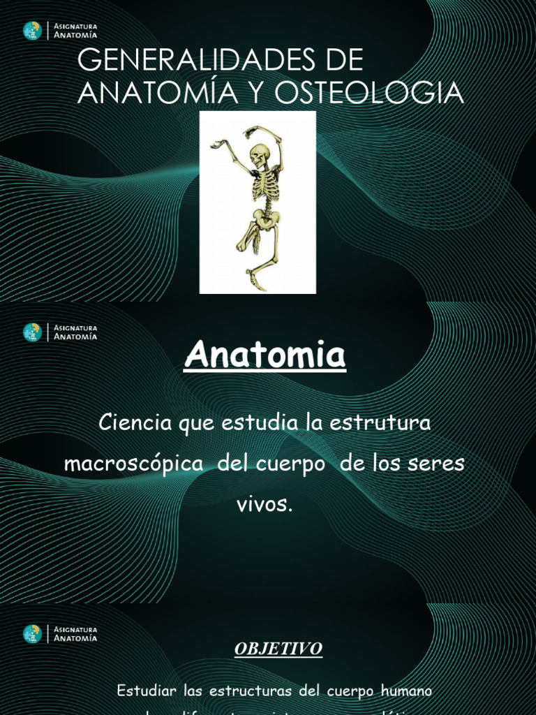 01-Generalidades de Anatomia y Osteologia | PDF | Anatomía | Esqueleto