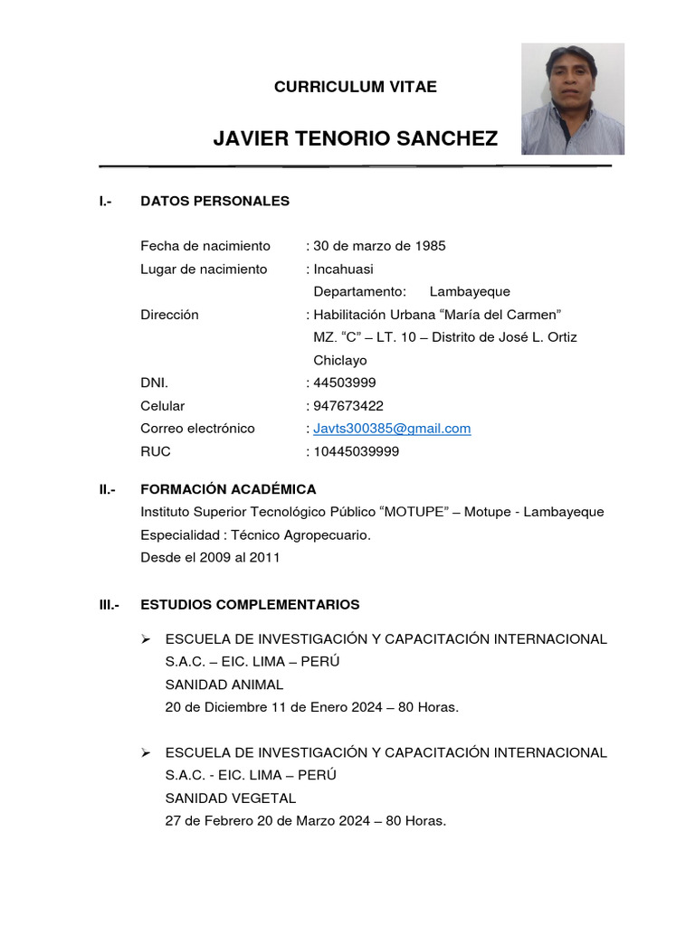 Curriculum Vitae Javier Tenorio Sanchez Completo | PDF