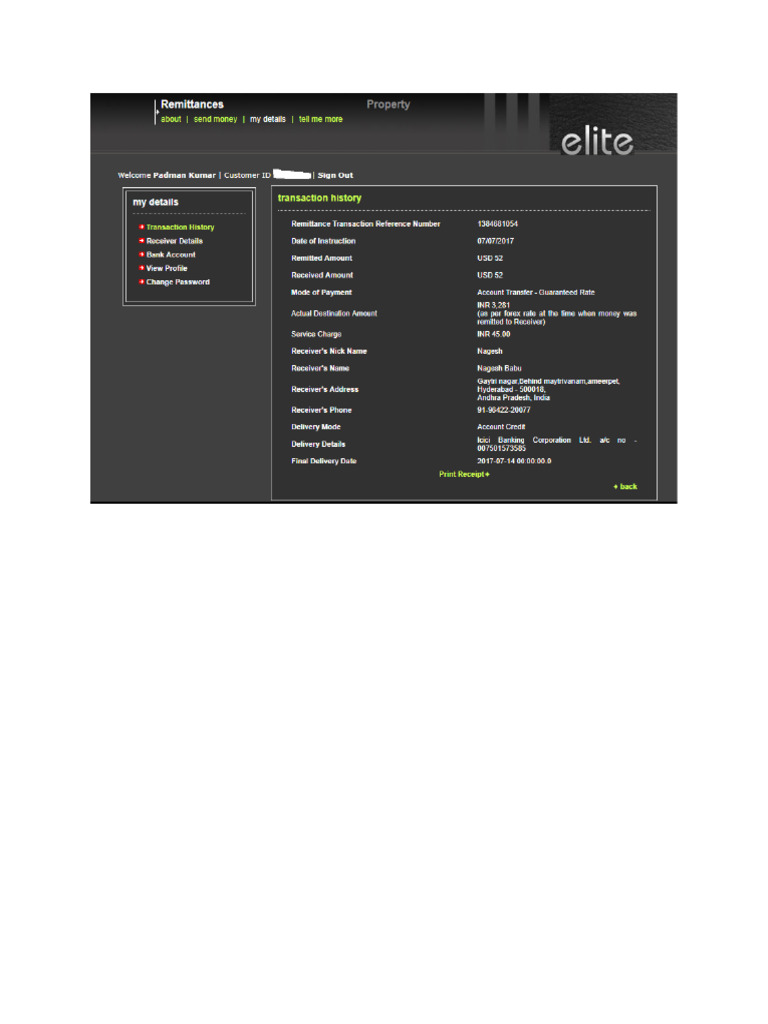 Sending Money Screen Shot | PDF
