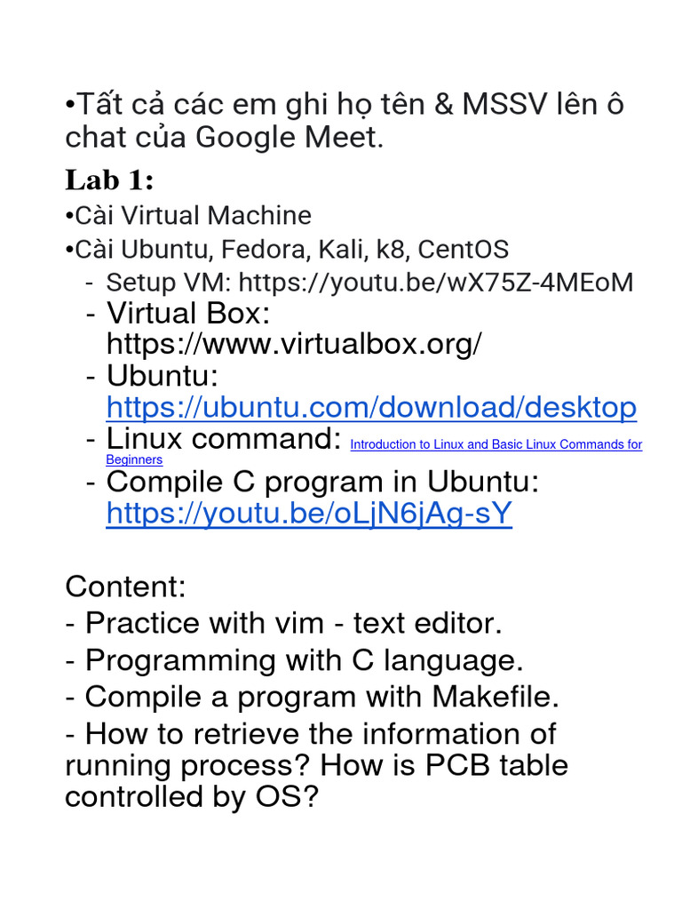 0S Labs Inclass Guide - HK221 | PDF | Pointer (Computer Programming) | System Software