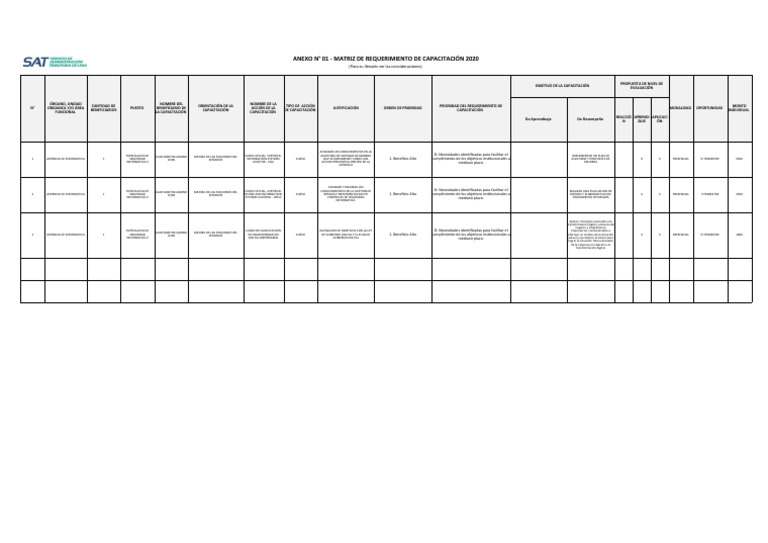 Matriz de Req. de Cap. 2020 Gerencia de Informatica | PDF | Informática | Auditoría