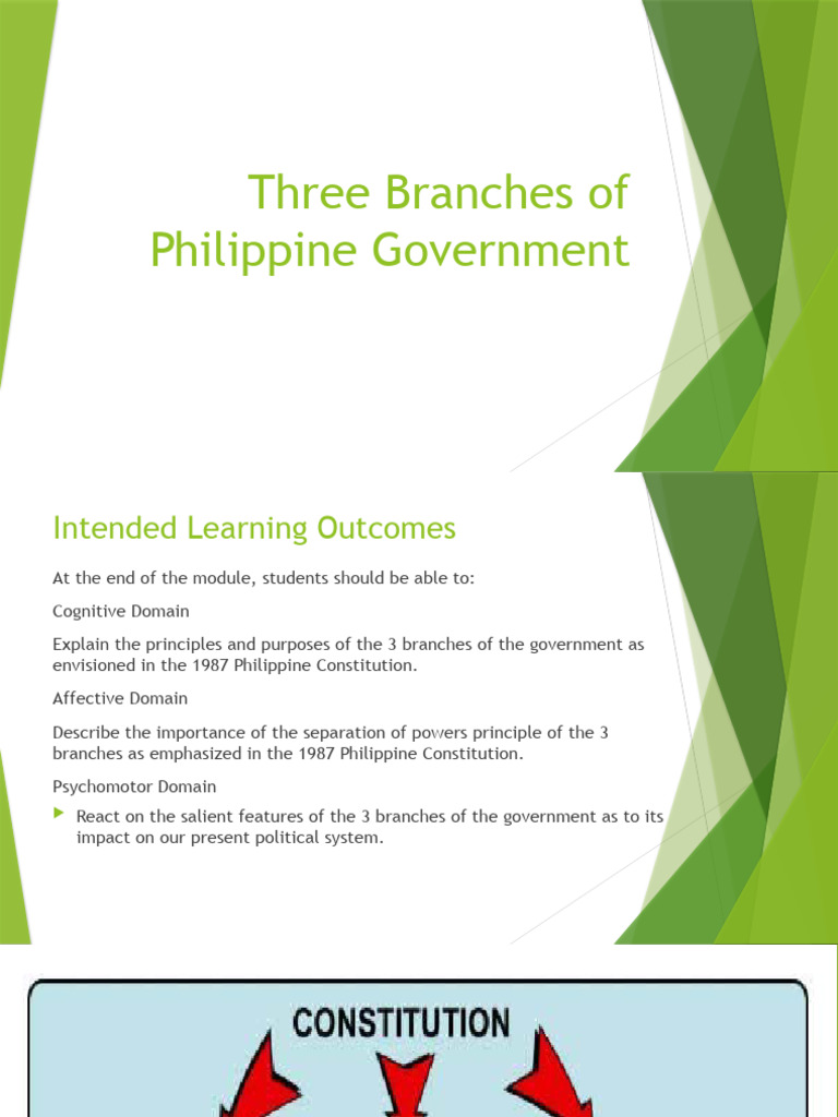 3 Branches of Government | PDF | Separation Of Powers | American Government