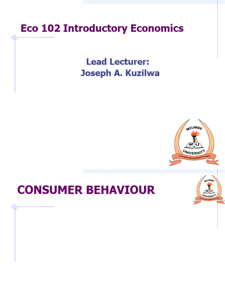 Understanding Consumer Behavior in Economics | PDF | Utility ...